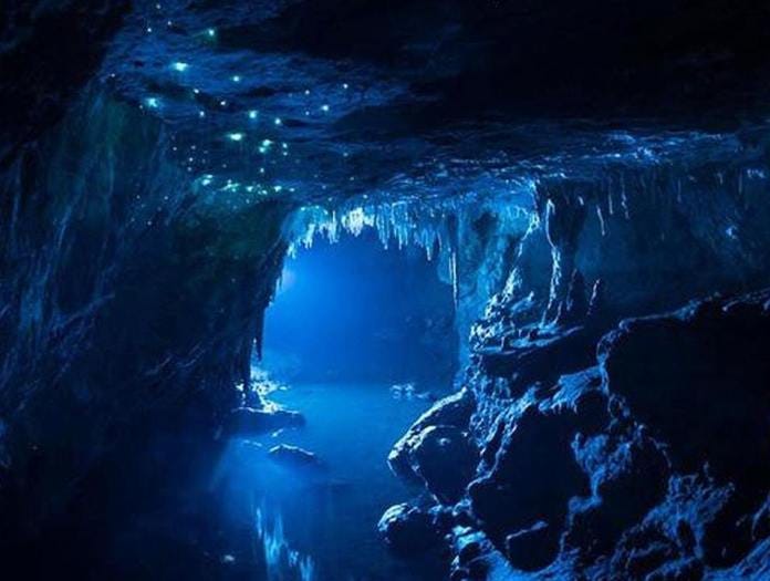 Visit the Waitomo Caves in New Zealand | by Kirk Vosper | Medium