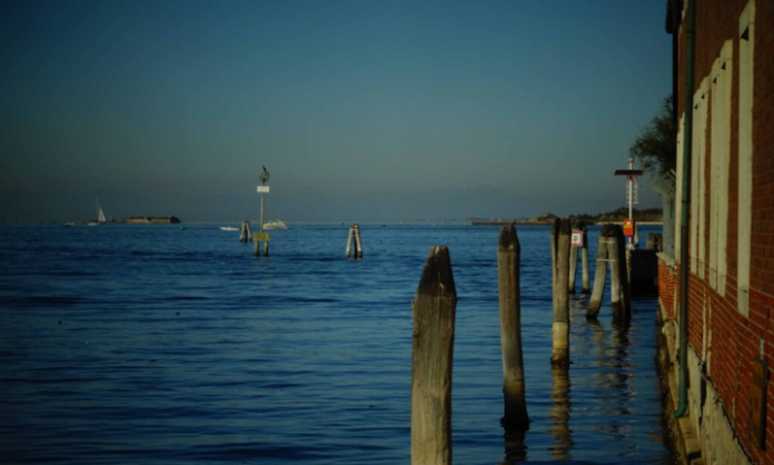Future of Venice lies among the fragile habitats of its Lagoon ...