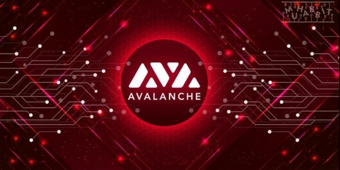What is Avalanche Crypto?. Crypto Made Simple | by Donatello Medici ...