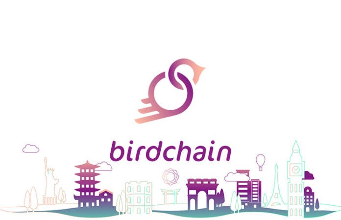 Bird chain — An application that rewards | by Sohaib Baig | Medium
