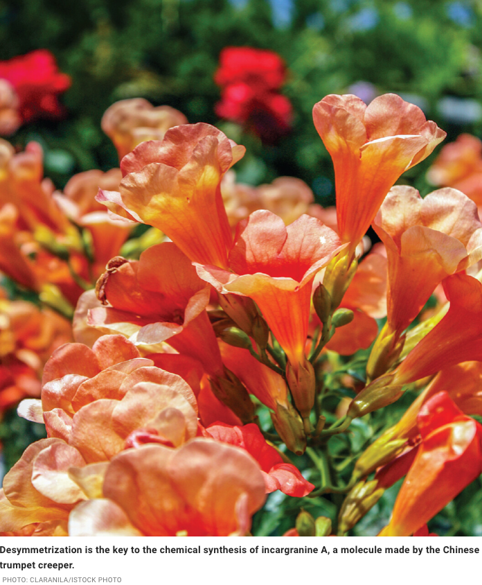 Orange vs. Borange. Angew. Chem. Int. Ed. (2023)… | by S. W. Lawrence ...