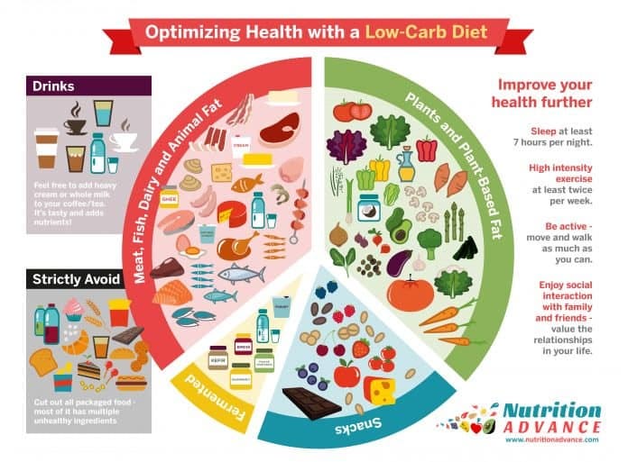 “Is a low carb diet really dangerous?” | by Miranda Tenney | Medium