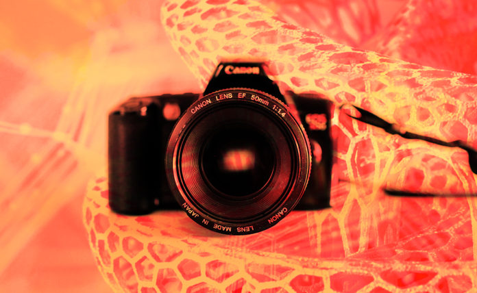 Choose the Right 3D Vision Camera For Your IoT Device | by Frank Lee ...