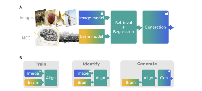 Brain Decoding Toward Real Time Reconstruction Of Visual Perception Paper Summary By