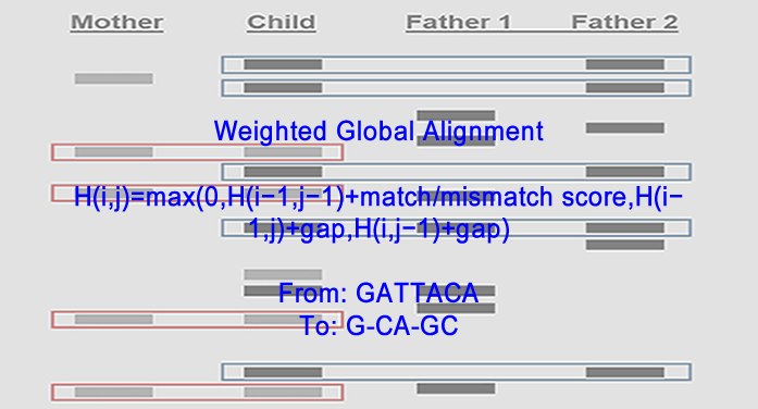 Advanced Paternity DNA Sequence Classification Using Dynamic Programming and Machine Learning ...