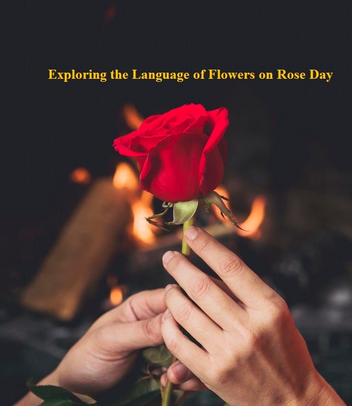 Exploring the Language of Flowers on Rose Day - Priya Mehta - Medium