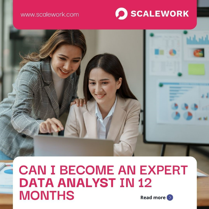 Can I become an expert Data Analyst in 12 Months? | by Scalework | Medium