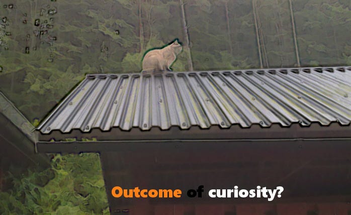 What technology does with curiosity to learn | by LarsGoran Bostrom ...