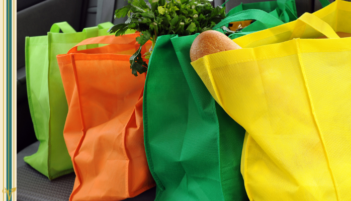 The Evolution of Reusable Bags. Is it as good as we think it is? | by ...