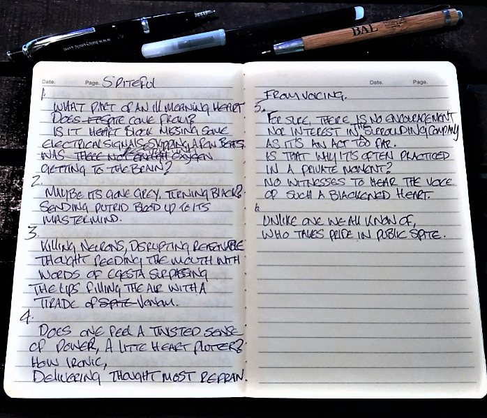 Spiteful. Free verse poetry | by James G Brennan | Paper Poetry | Medium
