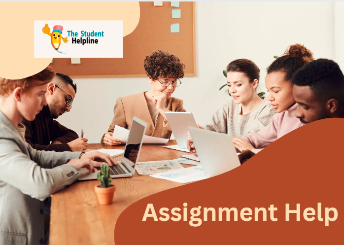The Gold Standard: Top Assignment Help for Students | by Morgandemon | Dec, 2023 | Medium