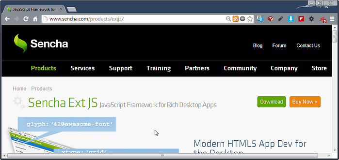 ExtJS. Grid issue#1 | by Thomas SJ Kim | Medium
