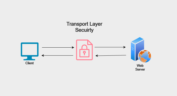 TLS (Transport Layer Security). Pengertian TLS (Transport Layer… | by robymuhtar | Medium