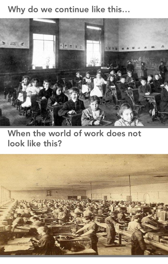 Fitting In & Fitting Around — SEND v Mainstream Schools | by Rosie ...
