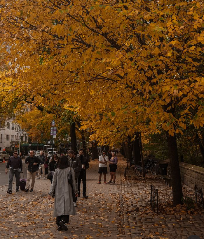 Autumn: The Cozy Season of Transformation | by Maryam | Medium