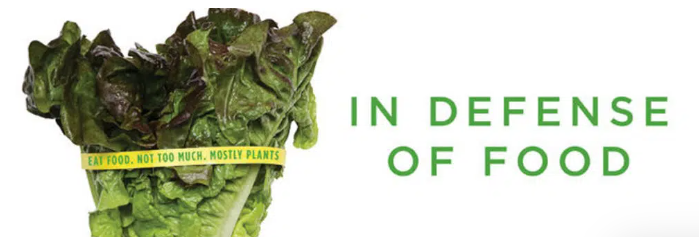 The 2023 Summary of “In Defense of Food: An Eater’s Manifesto” by ...