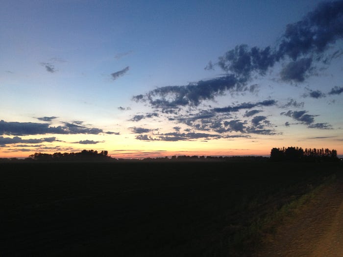 In the Dust | by Laura Jelinek | Medium
