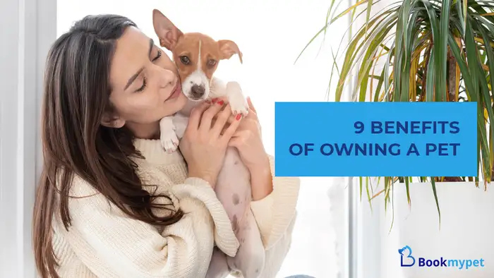 7 Health Benefits of Owning A Dog — Book My Pet | by Bookmypet | Apr ...