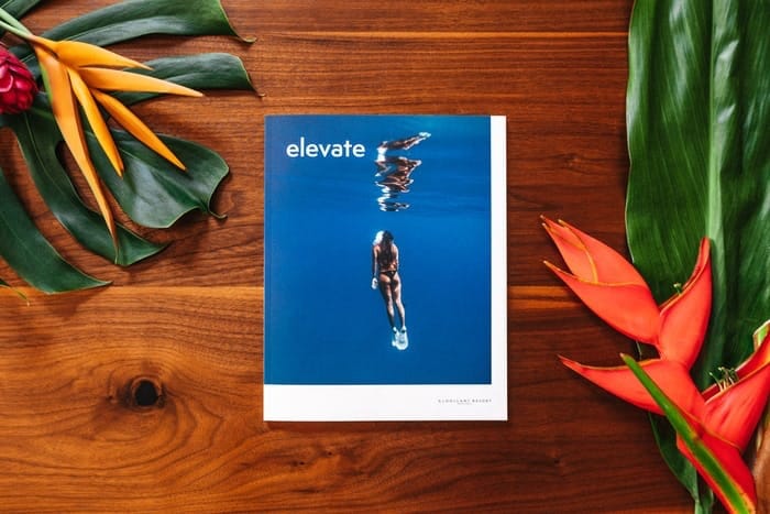 Today’s Elevate-Your-Life Challenge - Elevate Yourself - Medium