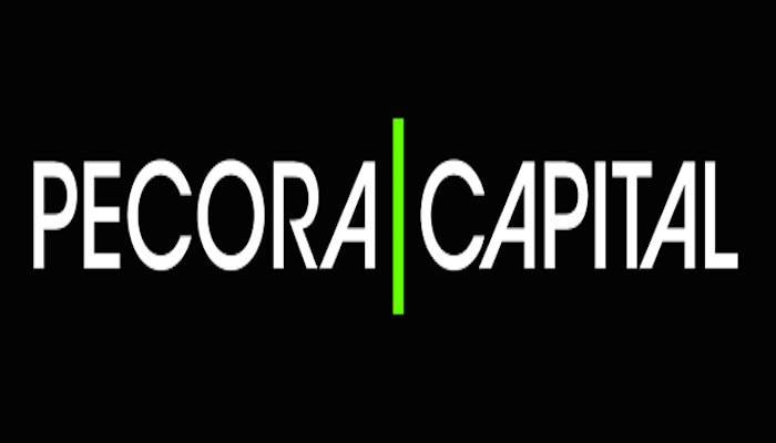 Pecora Capital: What We Know About The Firm That Will Help Nigeria ...