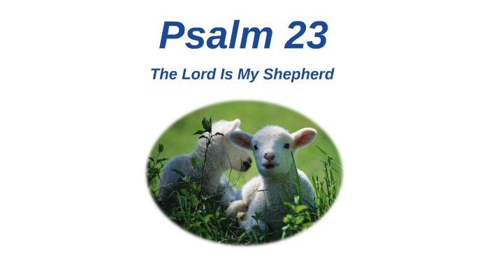 Jesus, The Good Shepherd. We are the flock of the Good Shepherd. | by ...