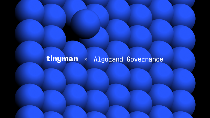 Tinyman Trong Quản Trị Algorand. Theo kết quả của cuộc bỏ phiếu này, một… | by Crypto Lemon | Medium