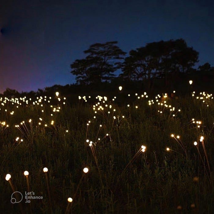 Why you need our firefly light right now for your home | by ...