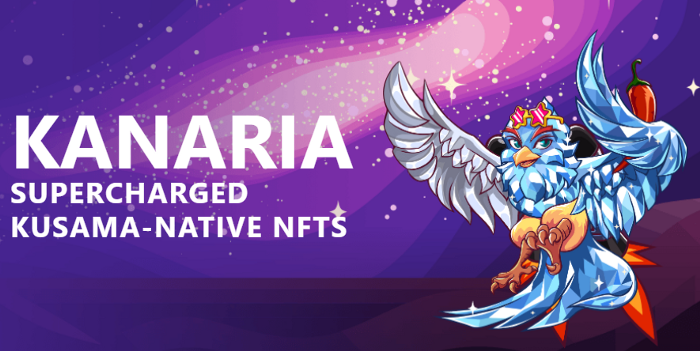 RMRK และ Bit.Country ผนึกกำลังเพื่อทำให้ metaverse ดียิ่งขึ้น | by ...