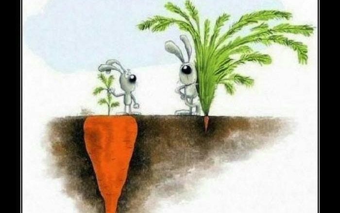 It is not ‘What you see’ !!!. Well, Is it all true ? Is it all what ...