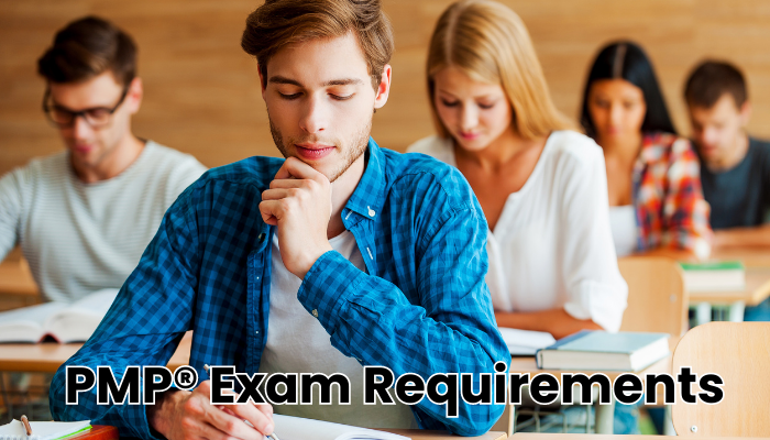 PMP® Exam Requirements: Your Path to Project Management Excellence | by ...