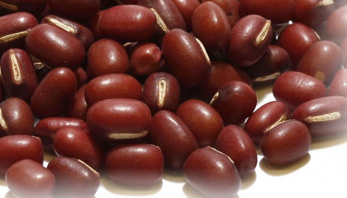 How To Get Adzuki Bean Prices Using An API | by TheStartupFounder.com ...