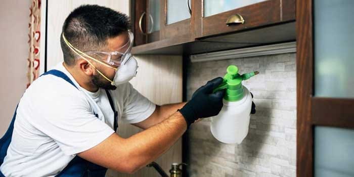 BEST PEST CONTROL SERVICES IN JUMEIRAH, DUBAI, TO KEEP YOUR HOME PEST ...
