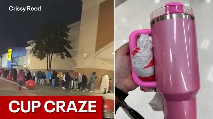 Target Chaos: The Stanley Tumbler Craze Unveiled — Discover the ...
