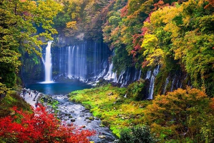 Japan’s National Parks: A Tapestry of Natural Splendor | by enge_liryk ...