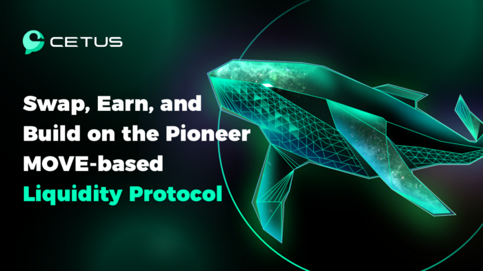 Cetus Bridge Guide Step by Step. Getting to know Cetus Protocol | by Myairdara | Medium