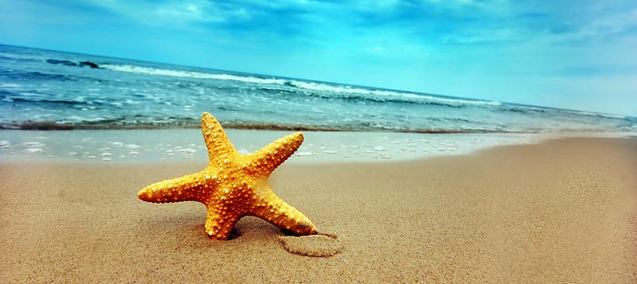 A Single Starfish. Building a legacy one small step at a… | by ...