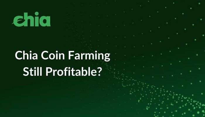 Chia farming return on investment, ROI | by Radovan Georgijevic | Medium