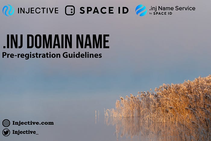 Pre Registration Guidelines For Inj Domain Names By Nursex Oct