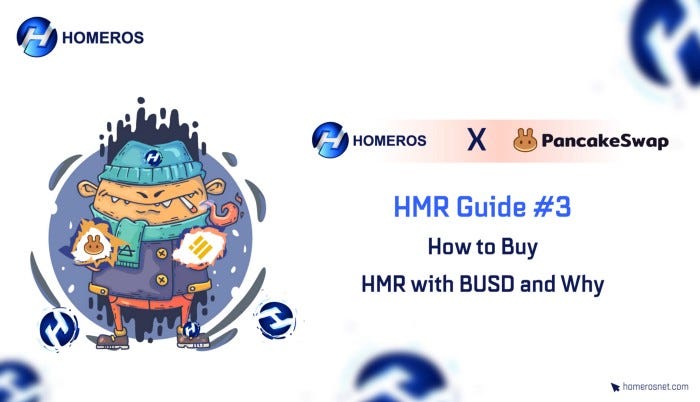 HMR Guide #3: How to Buy HMR With BUSD and Why | by Homeros | Homeros ...