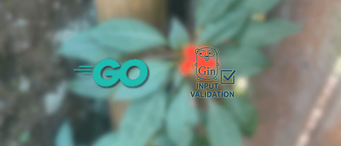 Input Validation in Golang APIs Using Go-Validator or Gin Binding | by ...