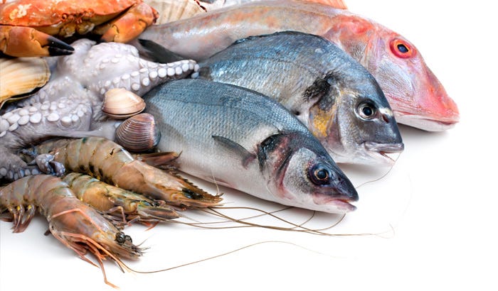 Where to Buy Fresh Fish in Patlipada | by Fishshopnear | Medium