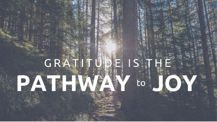 The path of gratitude — Day 16 of Simplicity | by Mike Rusert ...