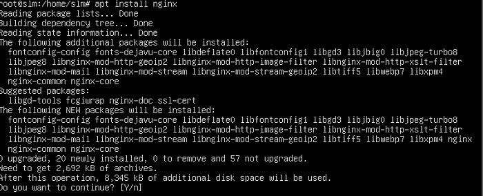 How to Build Nginx Server OS Linux (Indonesian Version) | by Salma | Feb, 2024 | Medium