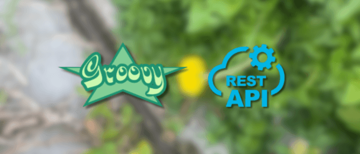 Calling REST APIs with Groovy. Groovy is a powerful, dynamic language… | by Didin Jamaludin ...