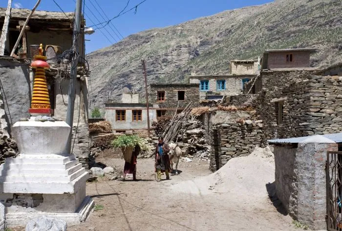 A Hidden Gem in the Heart of Ladakh-Khardung Village | by Suri Mahika | Mar, 2025 | Medium