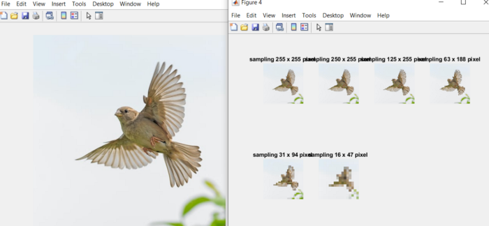 A Comprehensive Guide to Image Processing: Fundamentals | by Yağmur ...