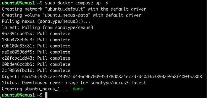 Install Sonatype Nexus3 using Docker Compose with Nginx | by Noun Chanveasna | Medium