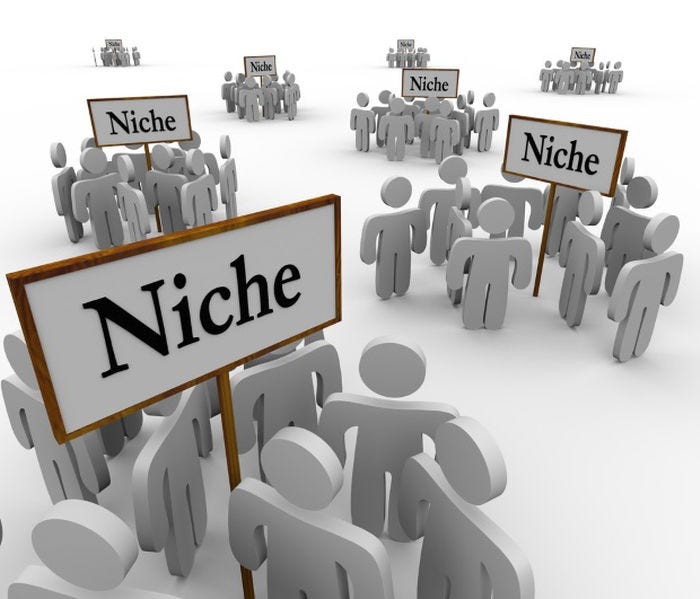 4 Steps to find your Niche business | by Prince Bhojwani | The Business ...