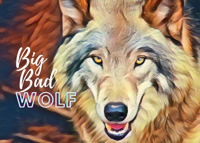 10 Life Lessons From Deadly Encounters with the Big Bad Wolf | by ...